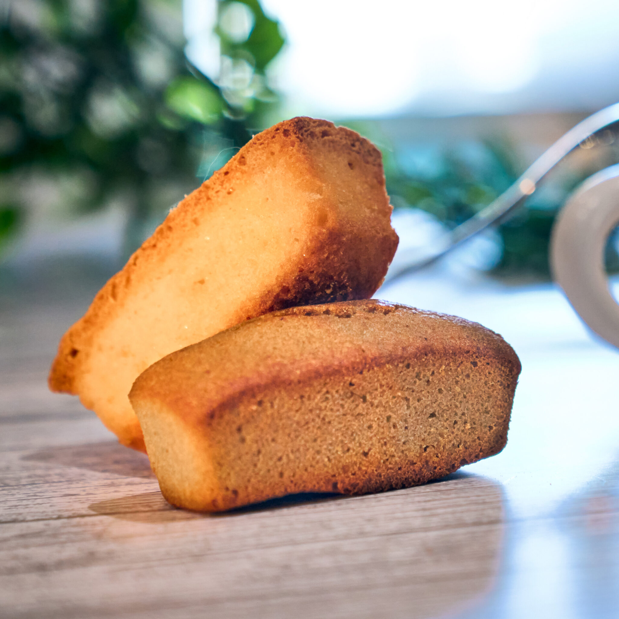 Accueil » Maison Dosnon